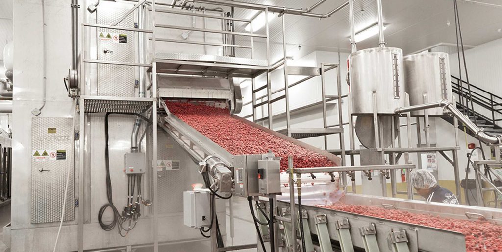 روش انجماد سریع (IQF) چیست؟ - نوبر سبز